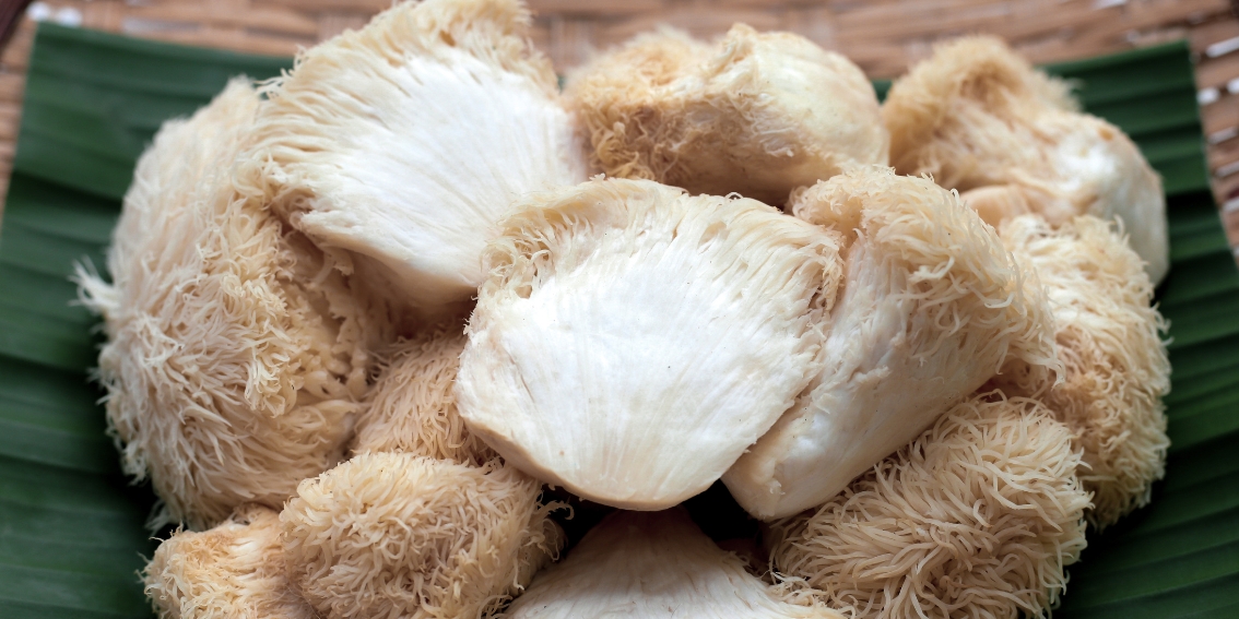 Lion's Mane: Den delikate soppen som balanserer brygget kaffe